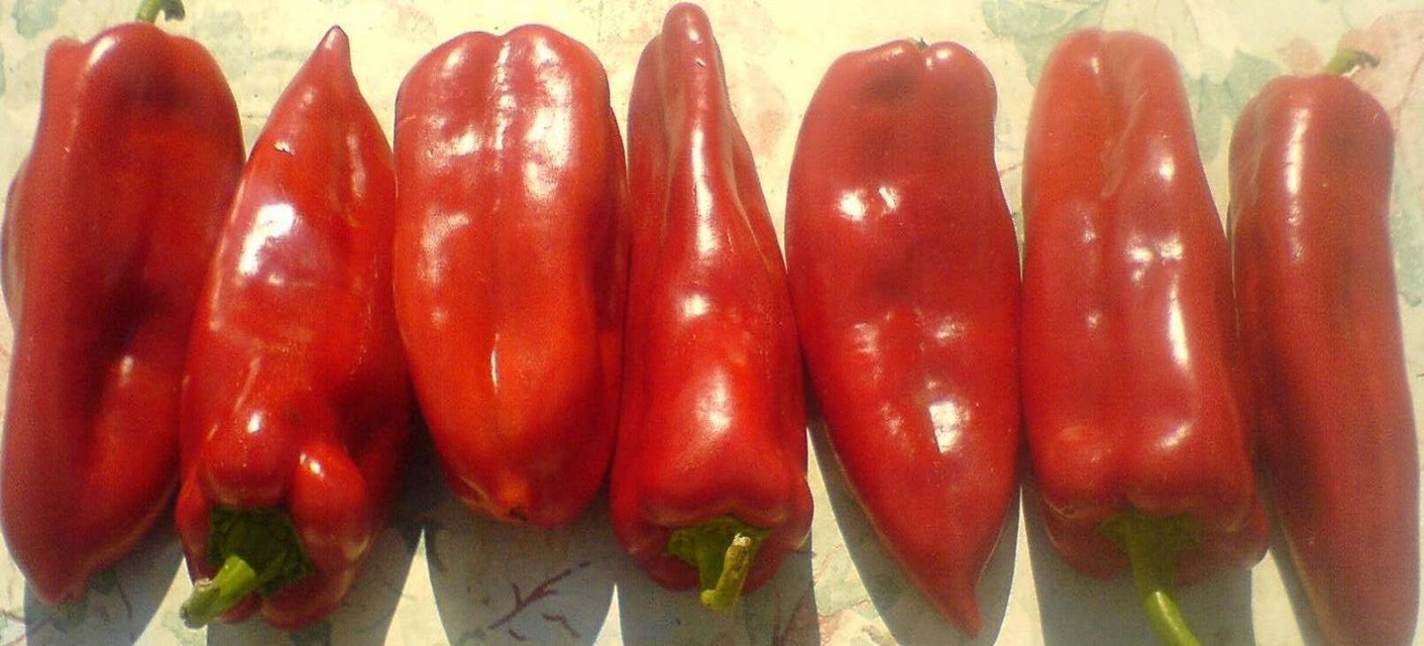 Ardei cu sos de rosii | Preparatedevis.ro