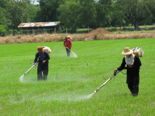 JKD SAINS PERTANIAN PONTIAN: August 2012
