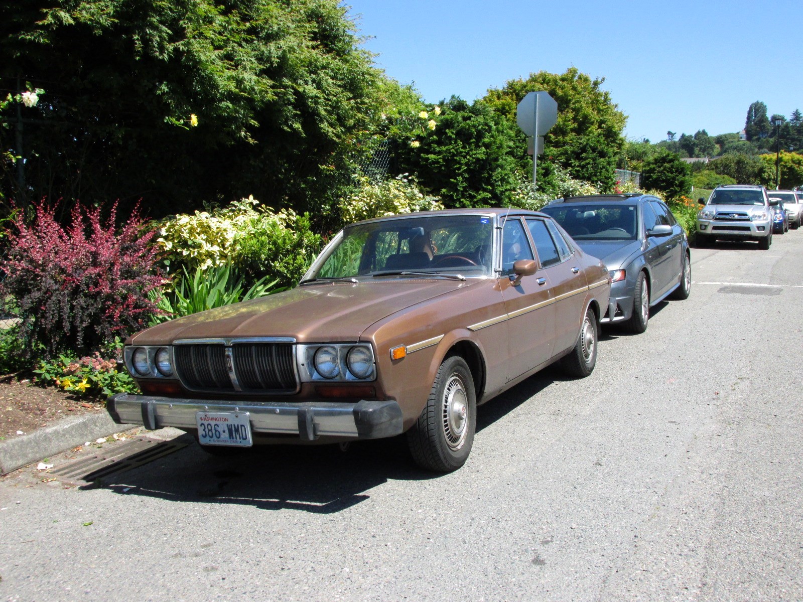 Seattle's Classics: 1977 Datsun 810 Sedan