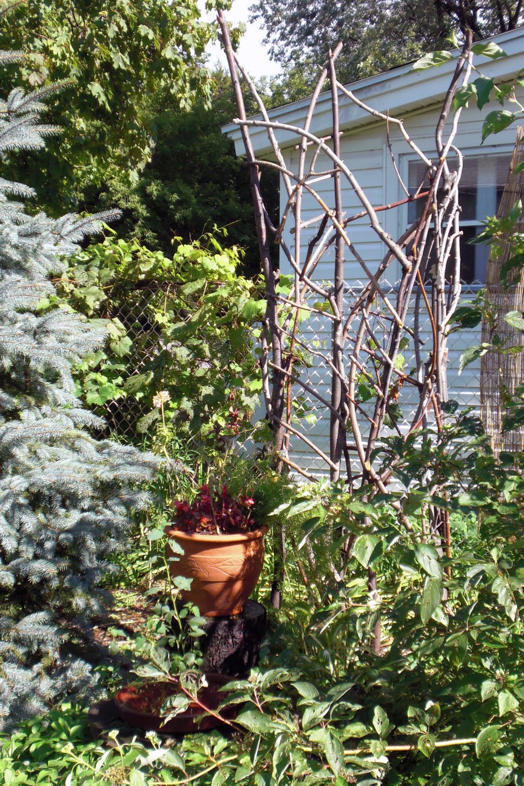 The Violet Fern: Project: Rustic Leaf Trellis
