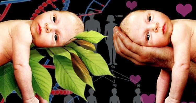 Todo lo que sea verdad: La Economía y el debate entre naturaleza vs ...