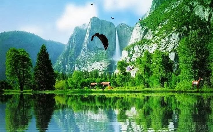 Charming Waterfalls | Moving Wallpapers