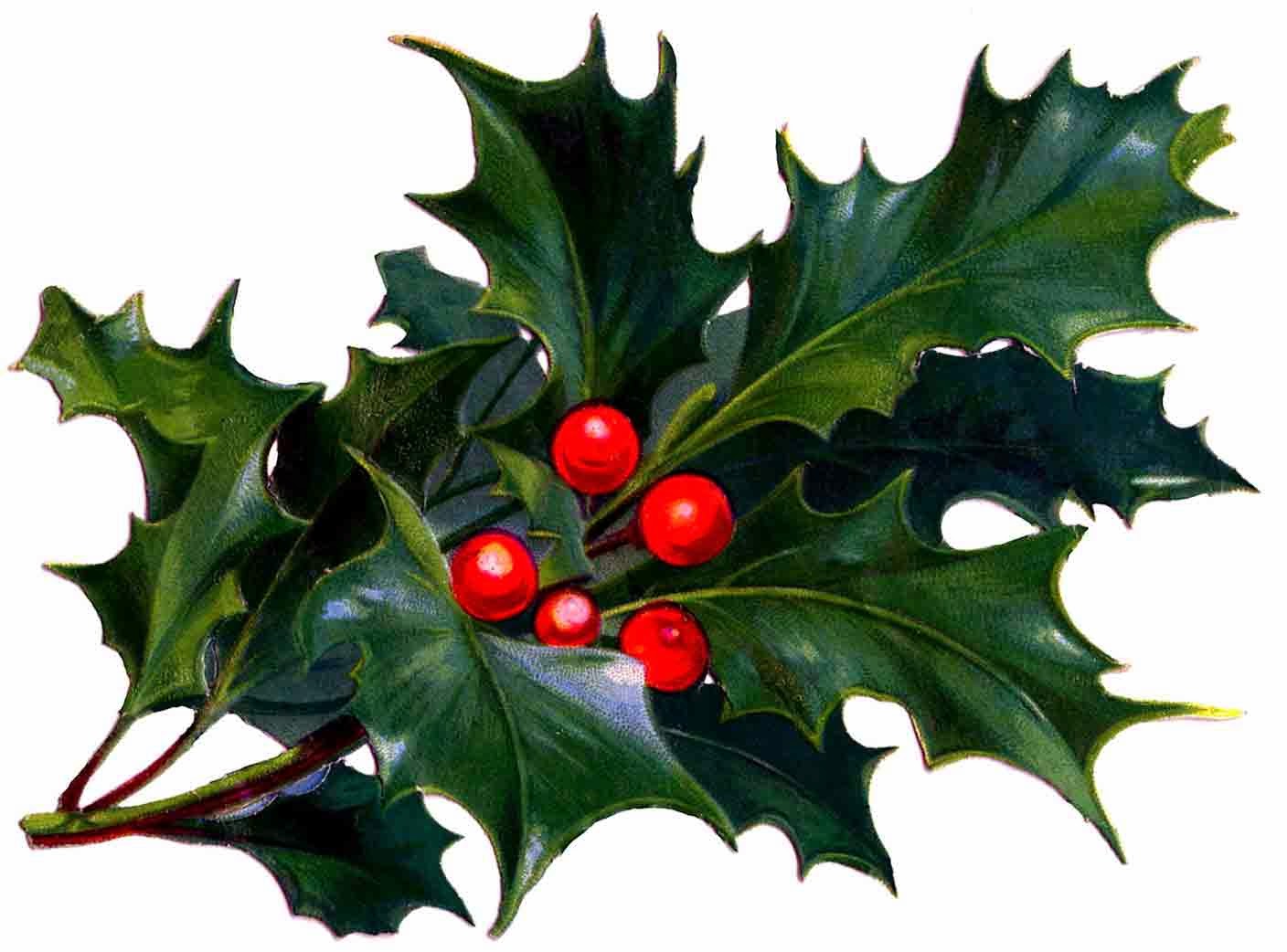 Dum Spiro Spero: 2014