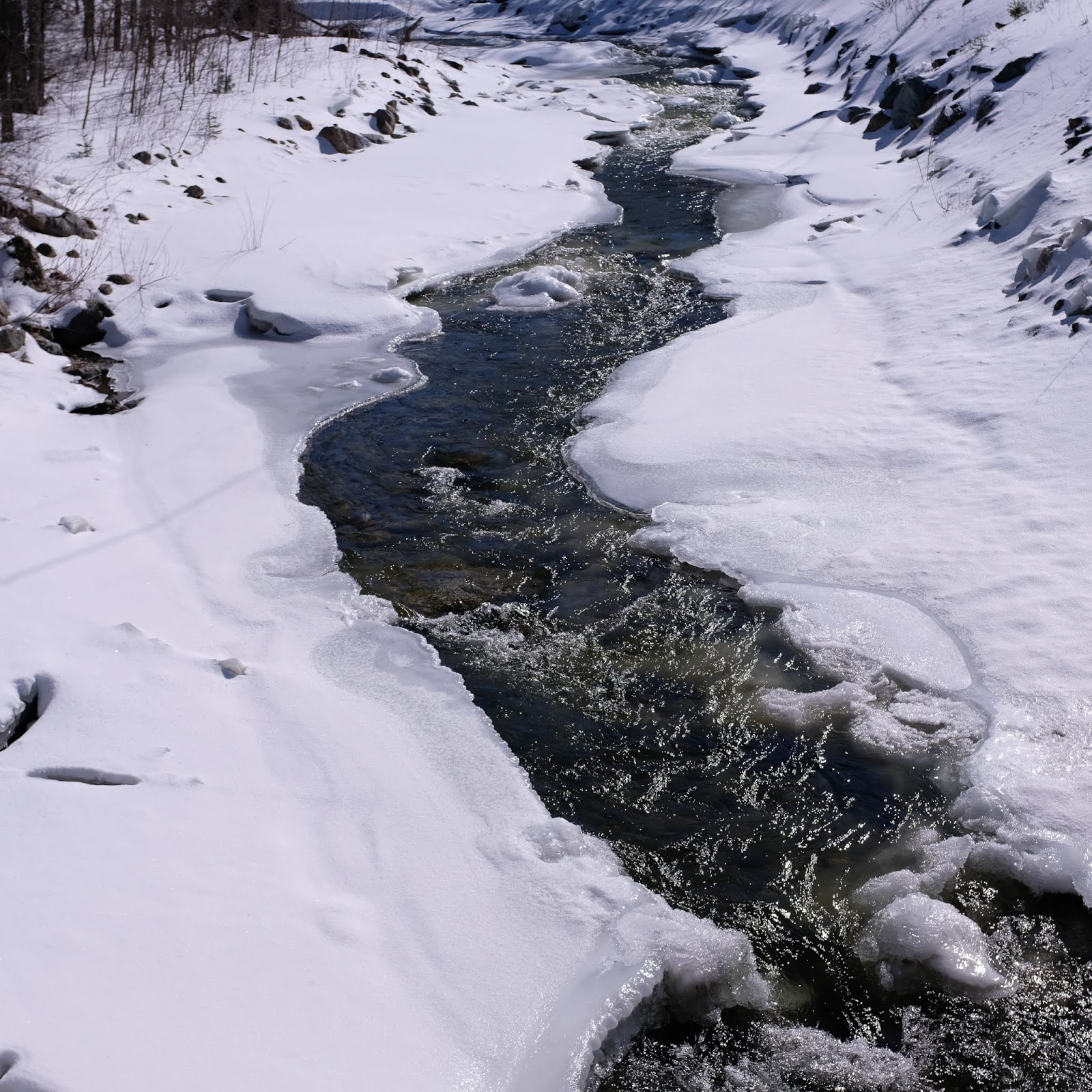 Local Flavor: More Cold Rivers