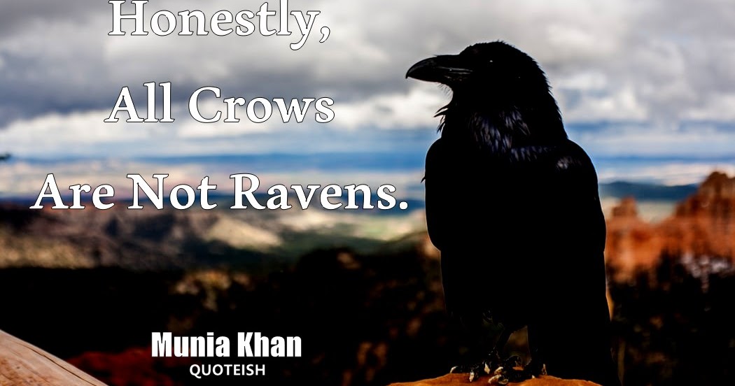 14 Crow quotes - QUOTEISH