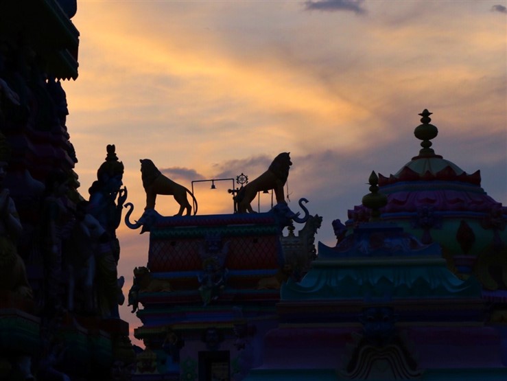 Dindi by the Godavari: A perfect holiday destination in coastal Andhra