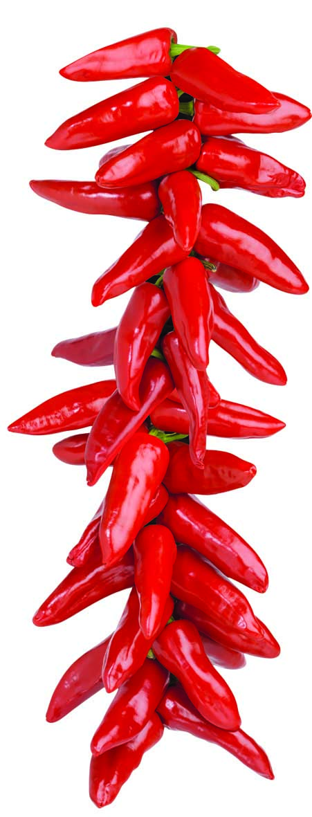 STUDIO ERIC: Un peu de piment au studio