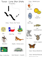 Symbols of Texas