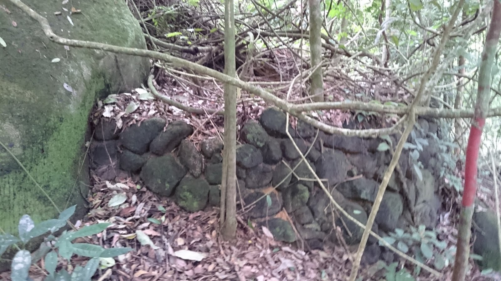 Mendaki Bukit Tokun dari empangan lama. | Dunia ku Imaginasi mu