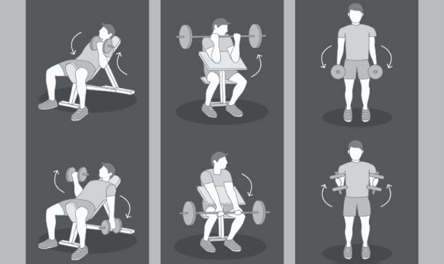 The Best Exercises To Master Your Arm Muscles #Infographic - Visualistan