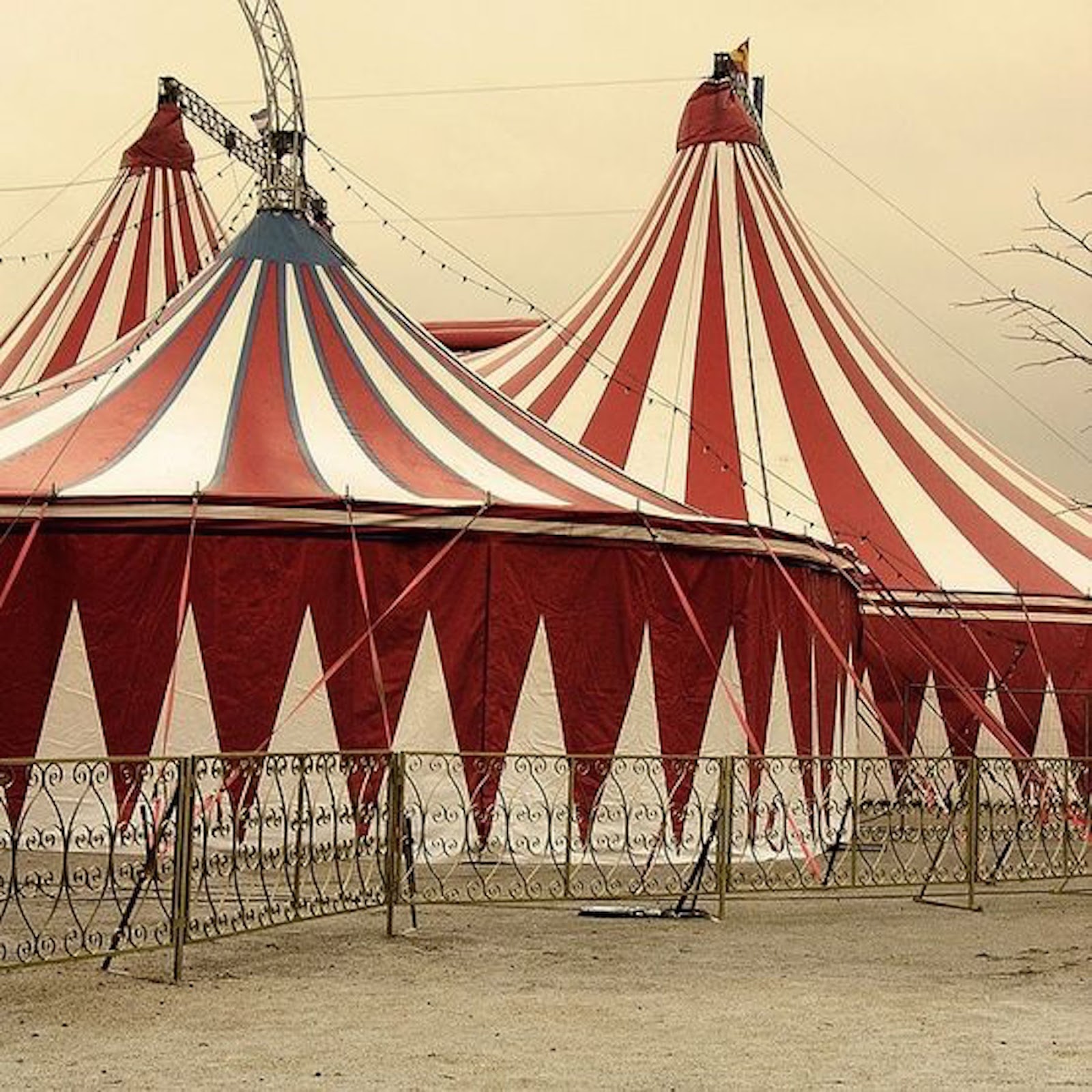 Run Away with the Circus