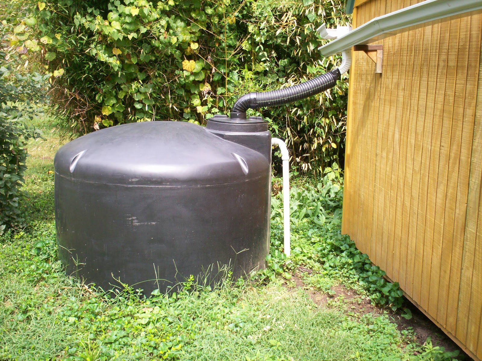 Fun with Rain Collection - resilience