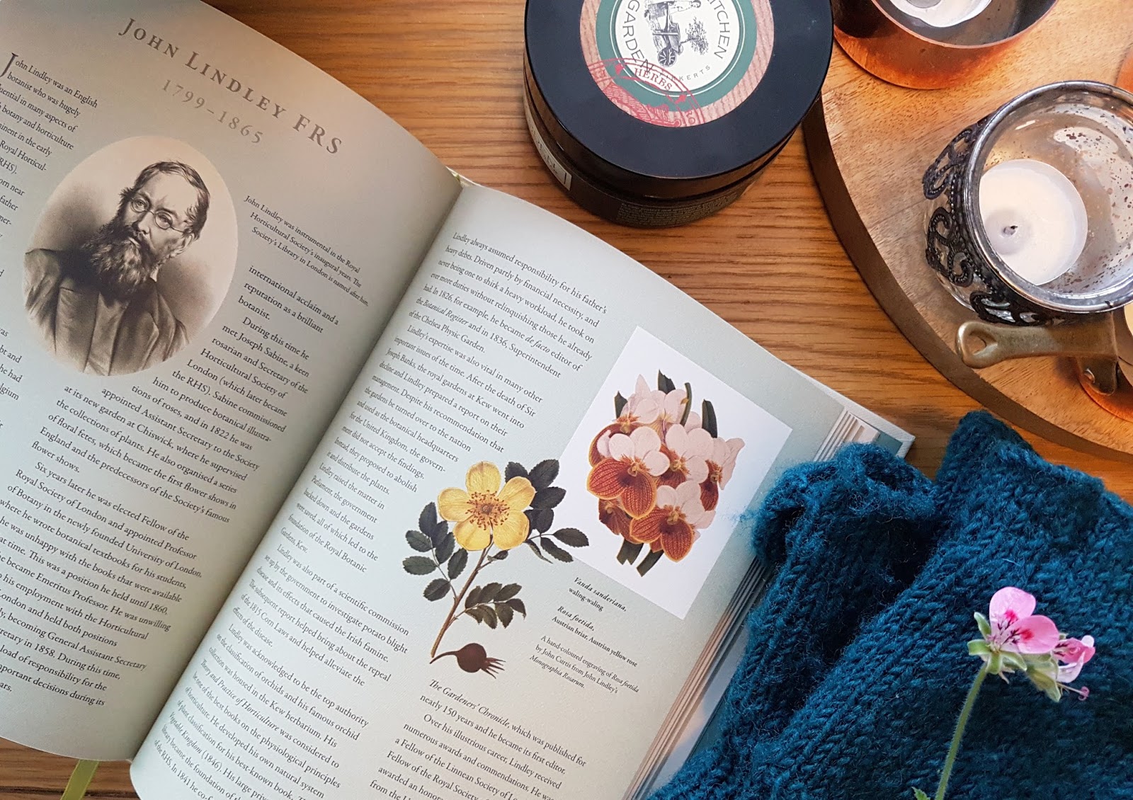 Book Review - RHS Botany for Gardeners