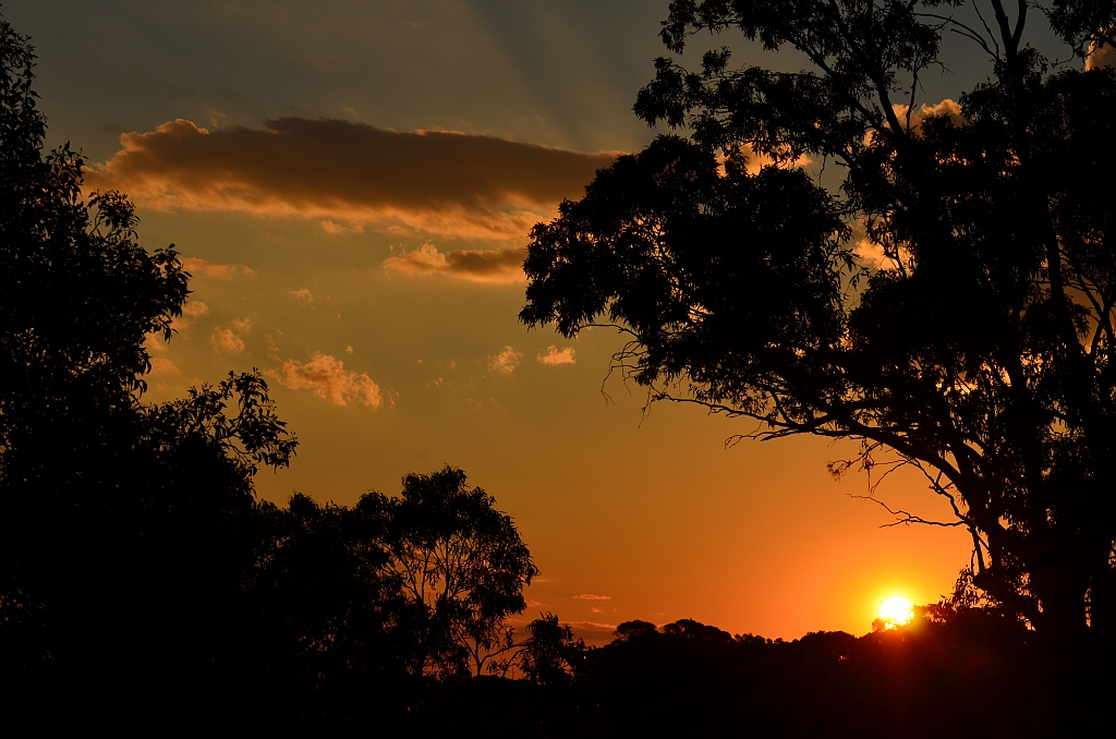 Think and Create: Caught the Evening Sun