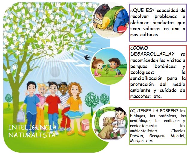 Con Ciencia para la Vida: INTELIGENCIA NATURALISTA (FÁTIMA GONZALES TÁVARA)