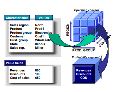 SAP Controlling: Characteristics & Values in SAP COPA