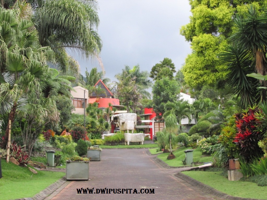 4 Fakta Menarik Tentang Klub Bunga Butik Resort | Dwi Puspita Lifestyle ...