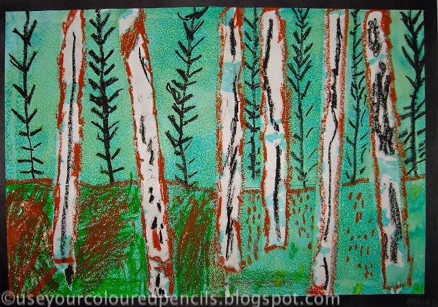 Use Your Coloured Pencils: Karri Forests