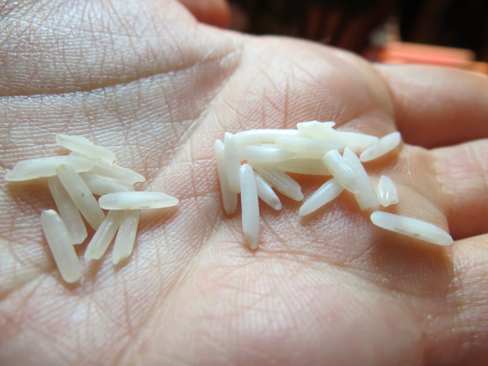 That Dang Cook: Rice Cooker Chicken Pulao (Spiced Pilaf)