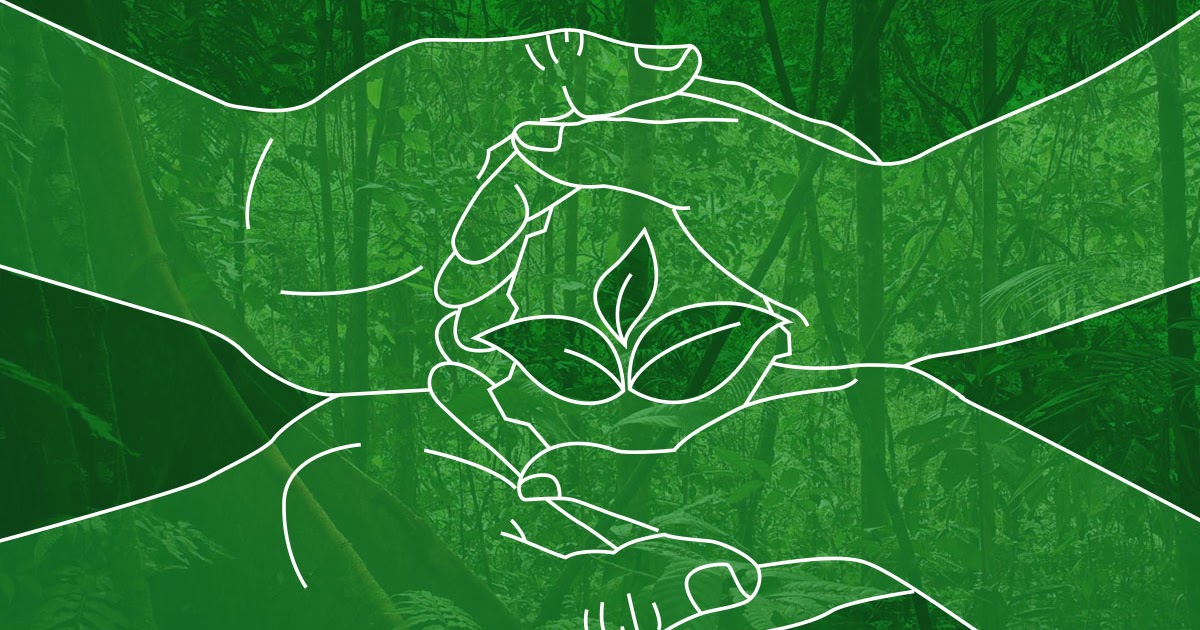 Imaflora: Programa do Imaflora estimula a agricultura familiar com ...