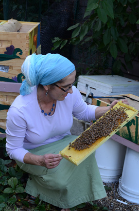 MOMMY BLOG EXPERT: Organic Beekeeper Shares Behind the Scenes Photos ...
