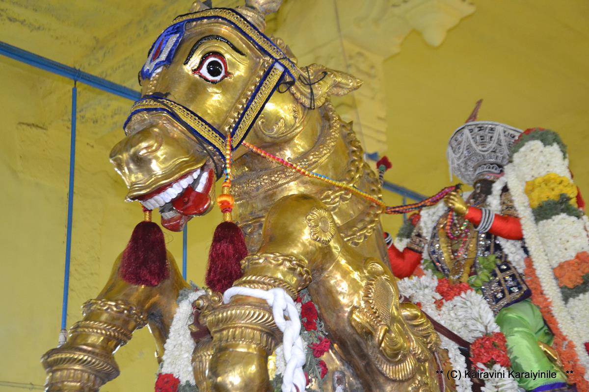 Kairavini karaiyinile - திரு அல்லிக்கேணி குளக்கரையோரம்: Sri Kaliyan ...