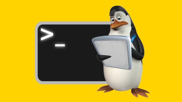 What Is The Difference Between Shell Console And Terminal What Is The Difference Between Shell Console And Terminal