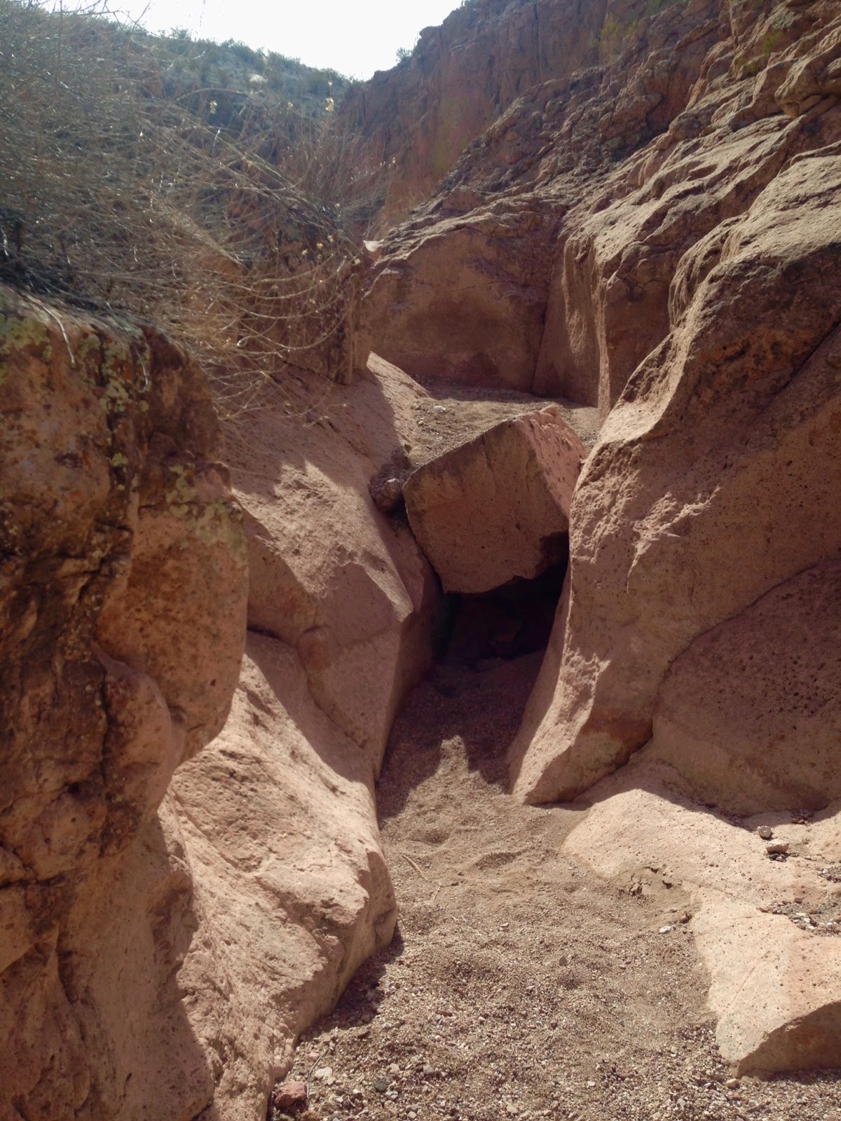 Southern New Mexico Explorer: Upper Faulkner Box Canyon- Organ ...