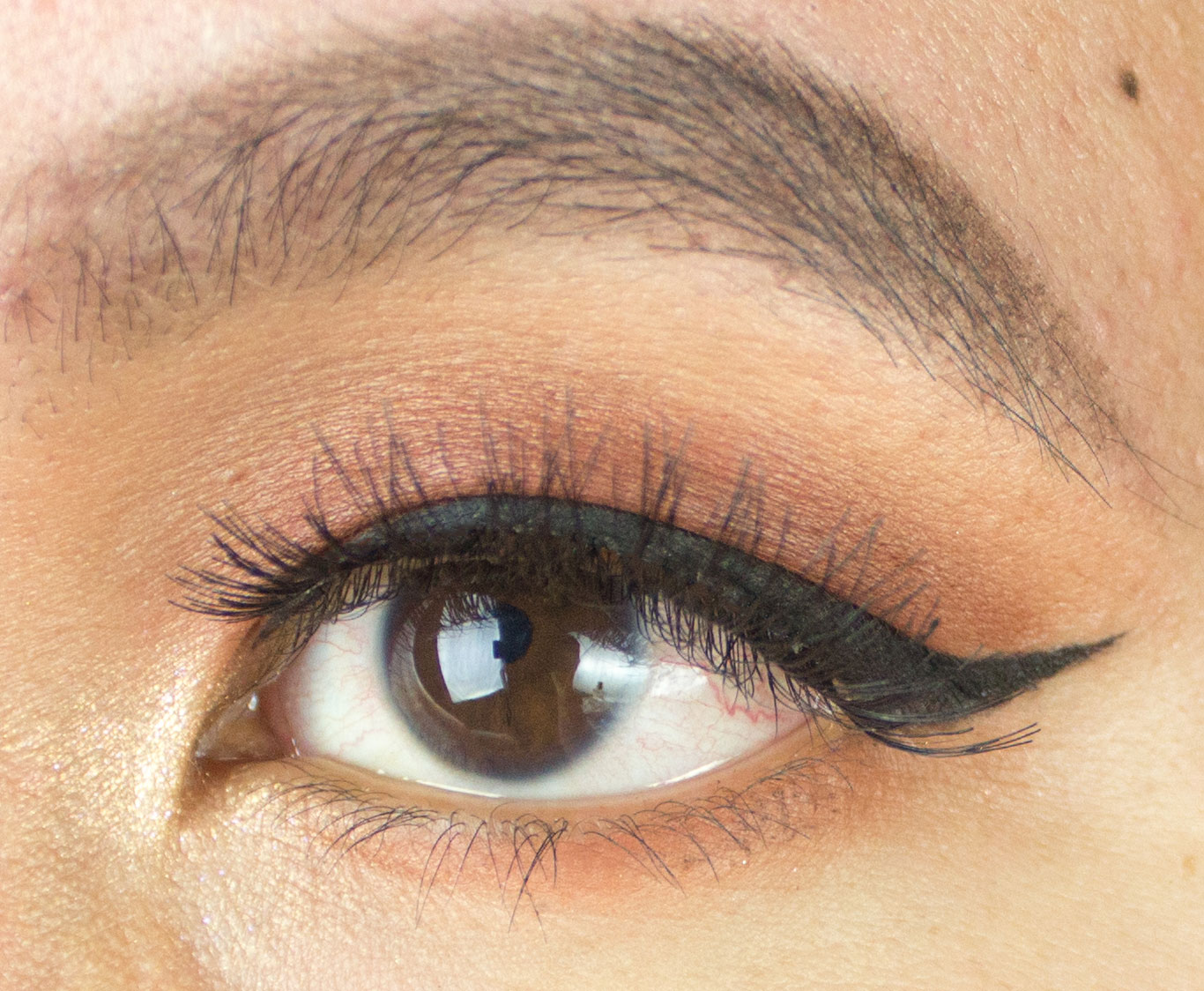 Warm Sienna Browns Eye Look ft. Anastasia Eyeshadows - Portrait of Mai