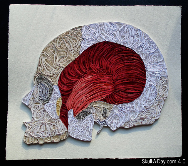 Quilled Skull