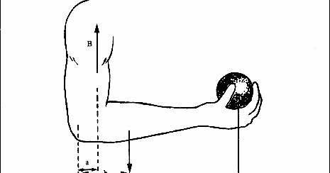 Fisica en la fisioterapia