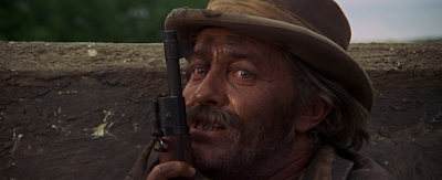 Radiator Heaven: The Wild Bunch