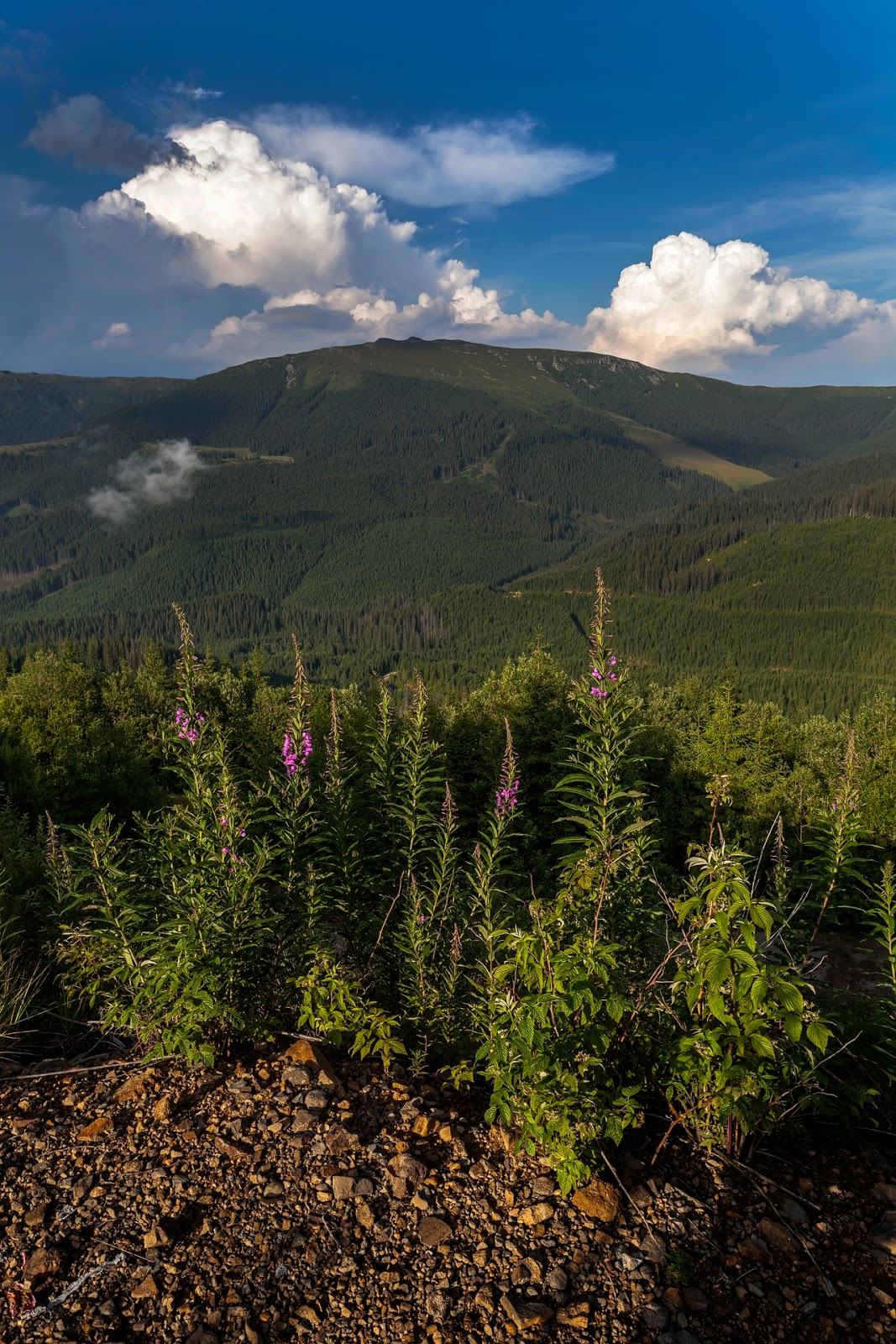 GPHOTO BLOG: Toxic 2015 - Cariera de sulf din Parcul National Calimani