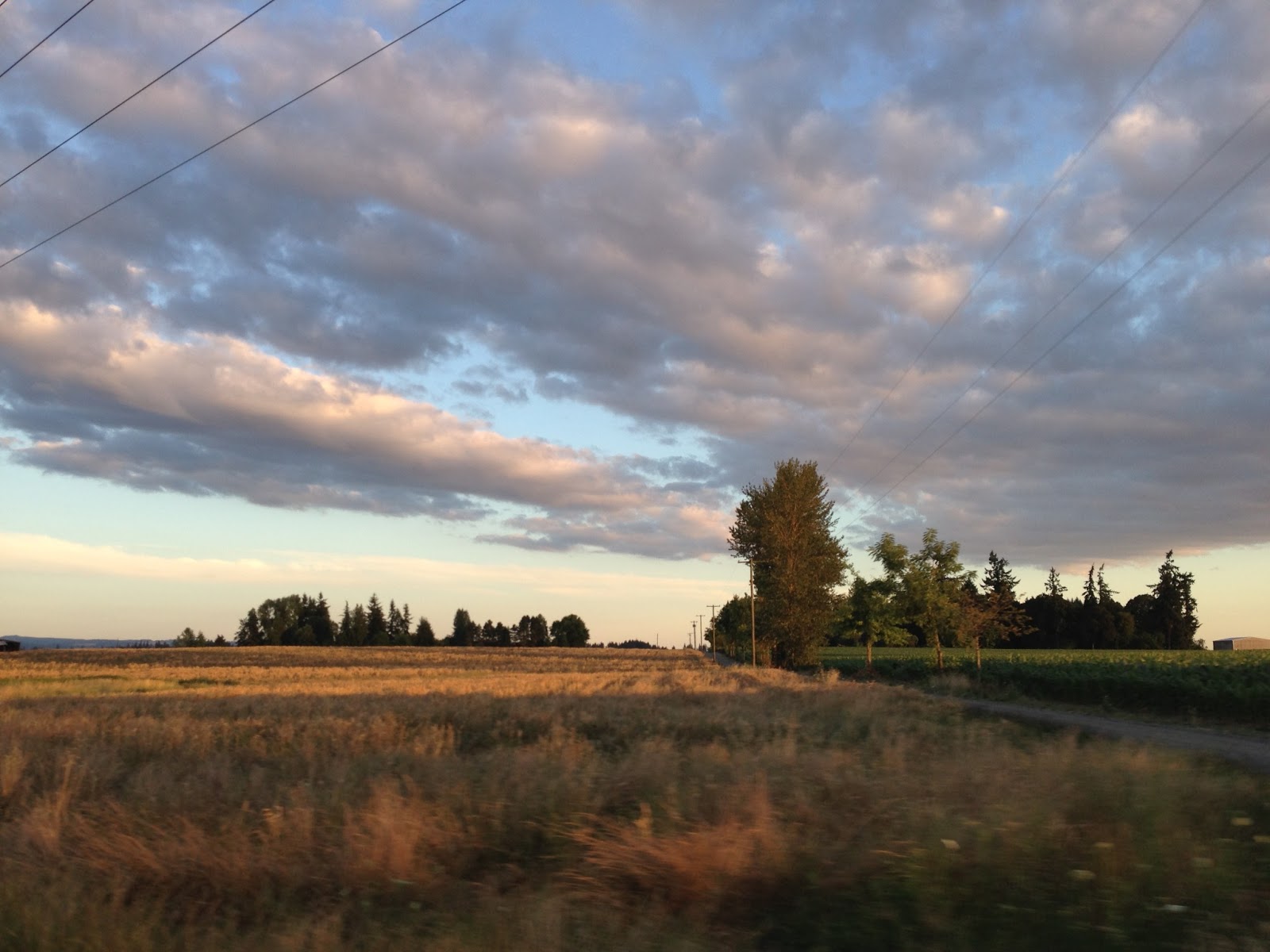 My Eclectic Thoughts: Oregon Countryside... Lots of Barns, Farms and ...
