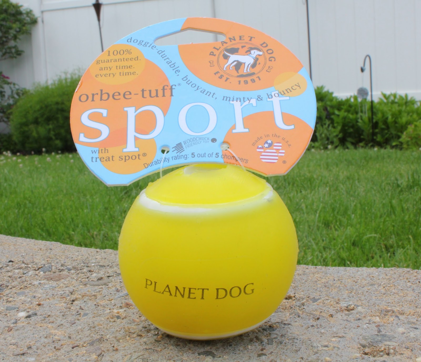 This month's review from Chewy.com is for Planet Dog's Orbee-Tuff Sport ...