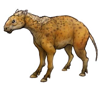 Los animales en la prehistoria: Animales prehistóricos con la letra D