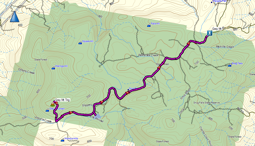 Grey Mountain | Hiking South East Tasmania
