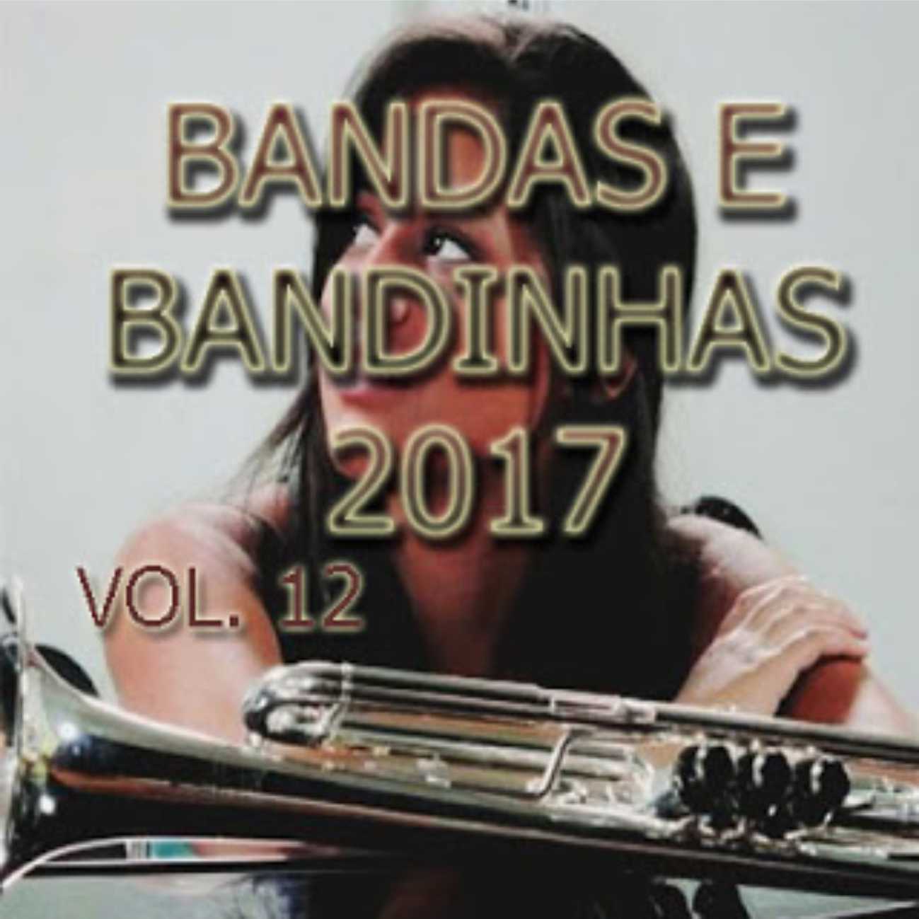Músicas, gaúchas, bandinhas e sertanejas: Bandas e Bandinhas 2017 - Vol. 12 Músicas, gaúchas, bandinhas e sertanejas: Bandas e Bandinhas 2017 - Vol. 12