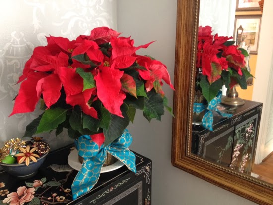 Poinsettias And Pine Cones