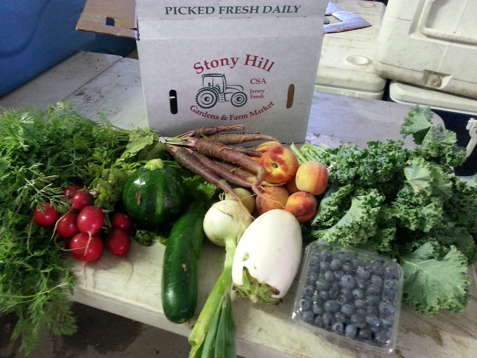 Stony Hill Farms CSA: July 18 & 20th CSA Boxes