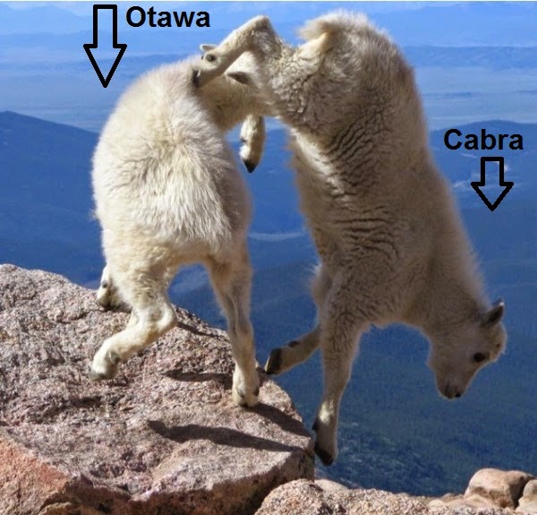 Las Alocadas Historias de la Cabra: Un Viaje a las Rocosas