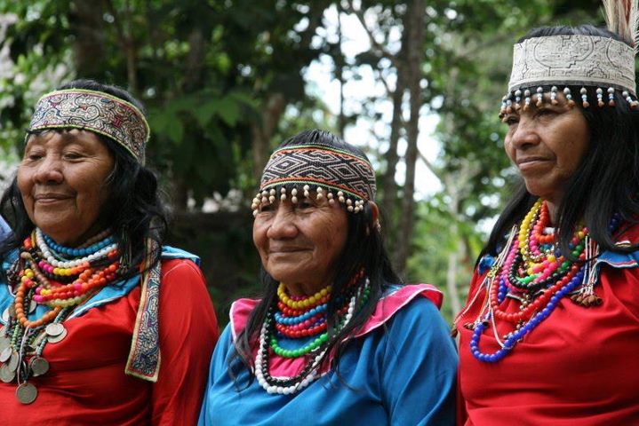 Peruvian Amazon (With images) | Native american clothing, Diverse ...