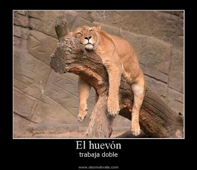 No seas haragán : My Spanish Notes