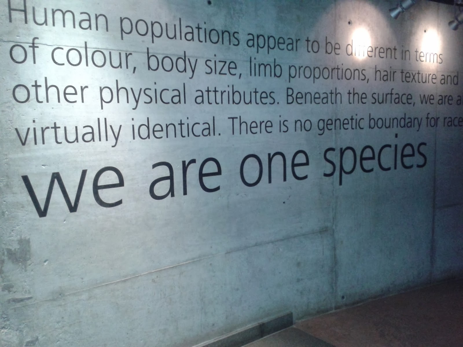 We are one species
