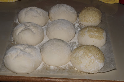 my discovery of Bread: Sourdough Italian Buns