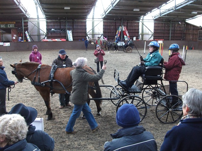 Carriage Driving For Disabled Adults In Dorset: RDA Carriage Driving ...