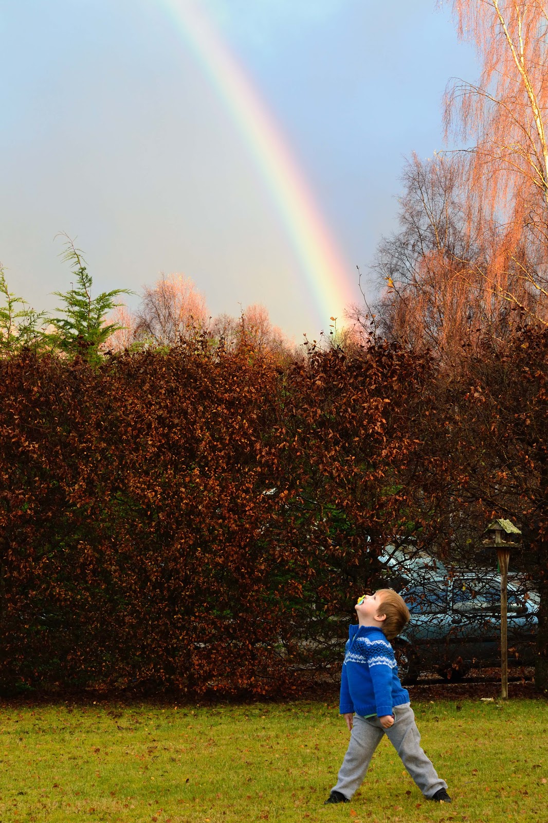 Firwood Cottage, Nethybridge: Bennachie Weekend