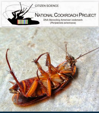 Biodiversity Science: National Cockroach Project