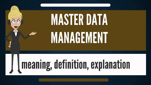 Master Data Management-Free Online Course