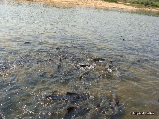 15 Must See Places in Karnataka - Happiest Ladies